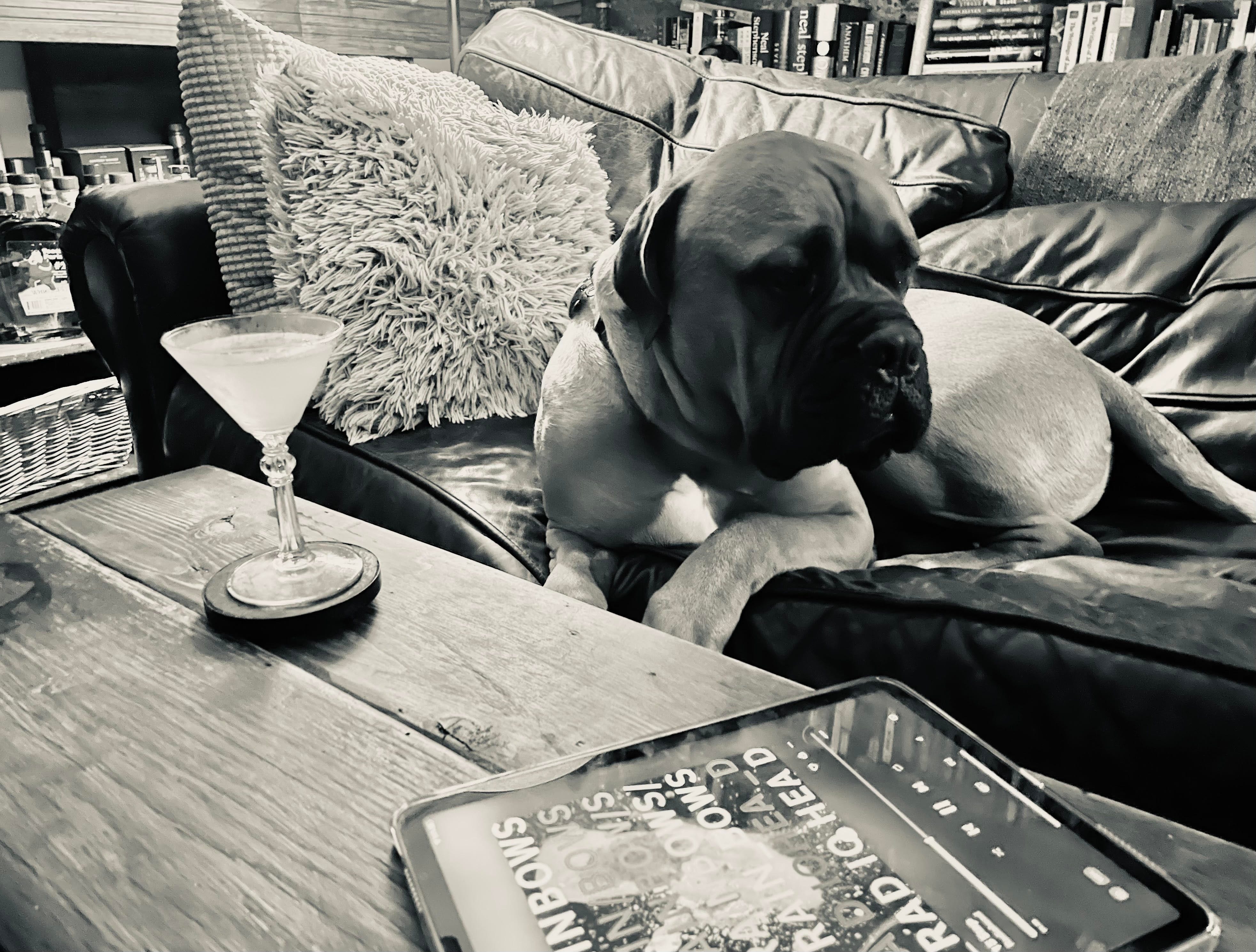 The Case for Bitters Maximalism - by Peter Suderman