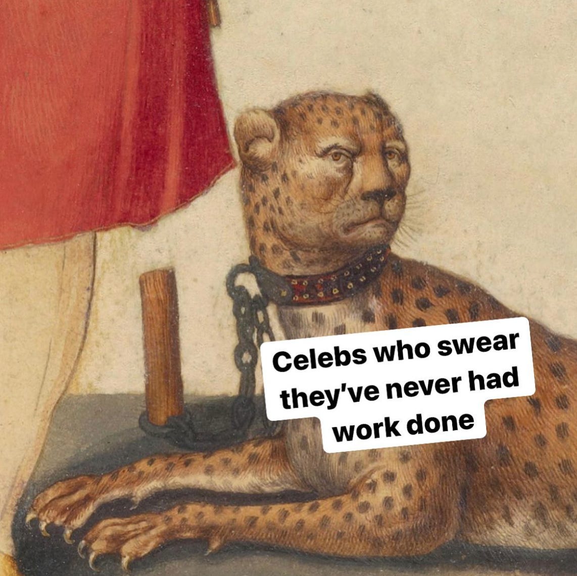 My Internet: Jessica DeFino - by Nick Catucci - Embedded