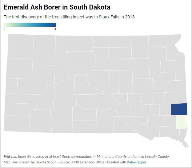 Emerald ash borer spreading across eastern South Dakota