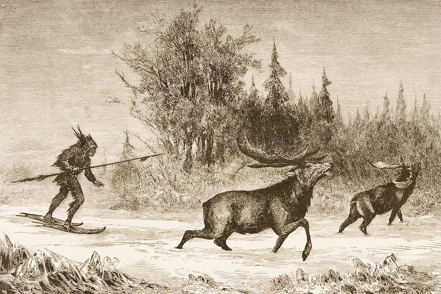 How to catch a moose, 1663 - by Andrew Chapman - Histories
