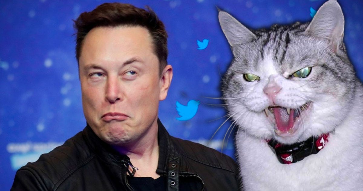 Elon Musk - much more than an annoyance - he's a freaking troll