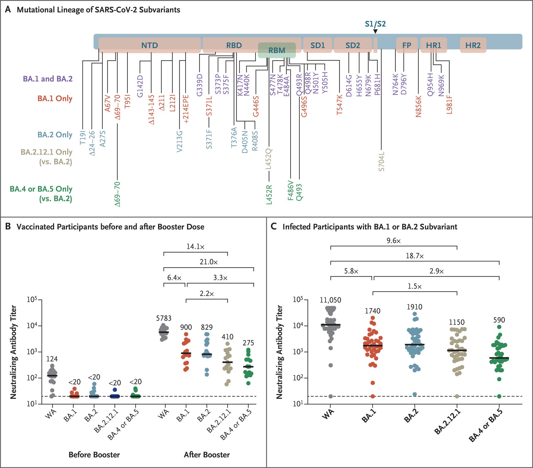 Neutralization Escape by SARS-CoV-2 Omicron Subvariants BA.2.12.1, BA.4, and BA.5