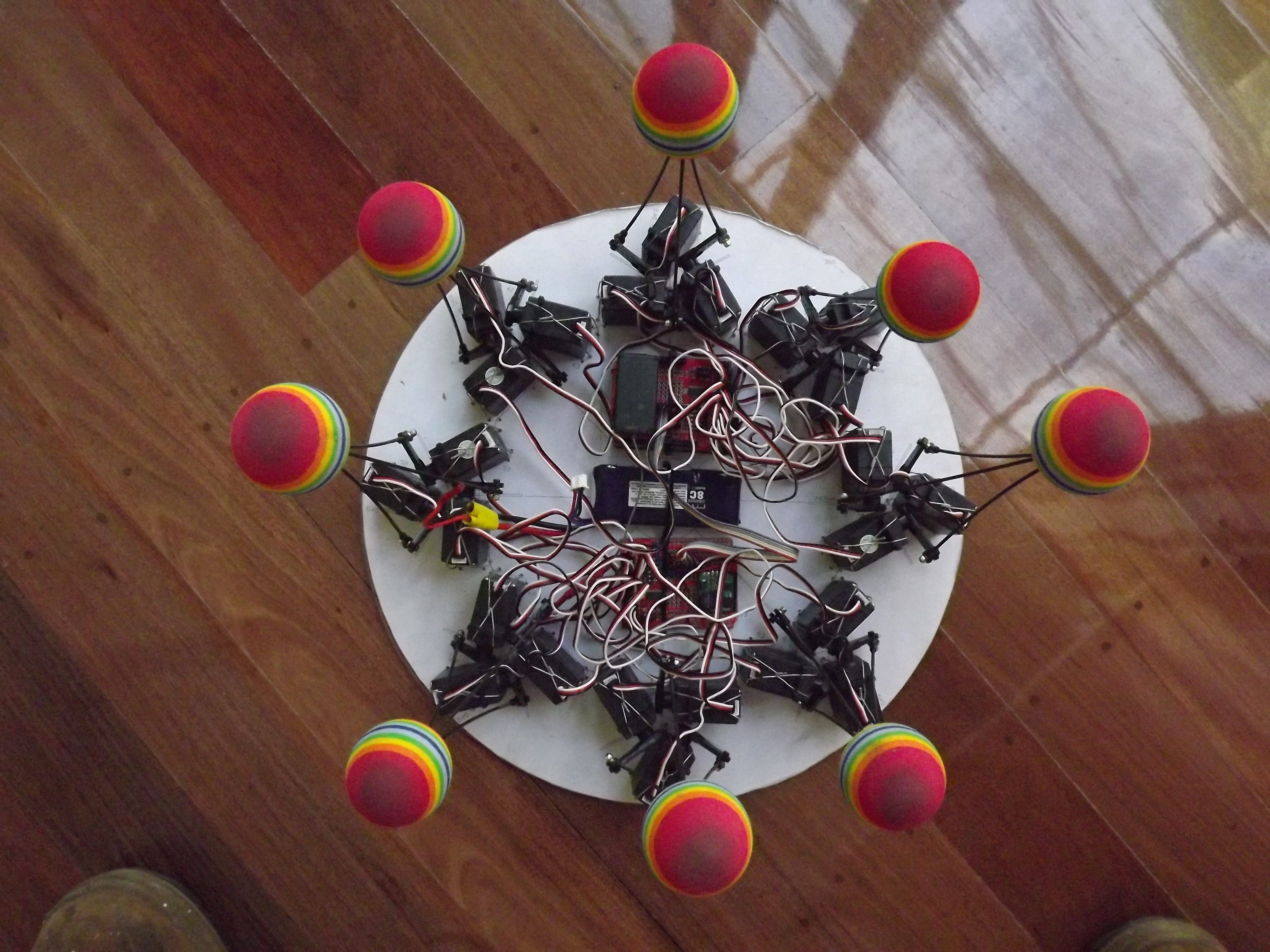 This one won’t be for everyone! - by Patrick Durack