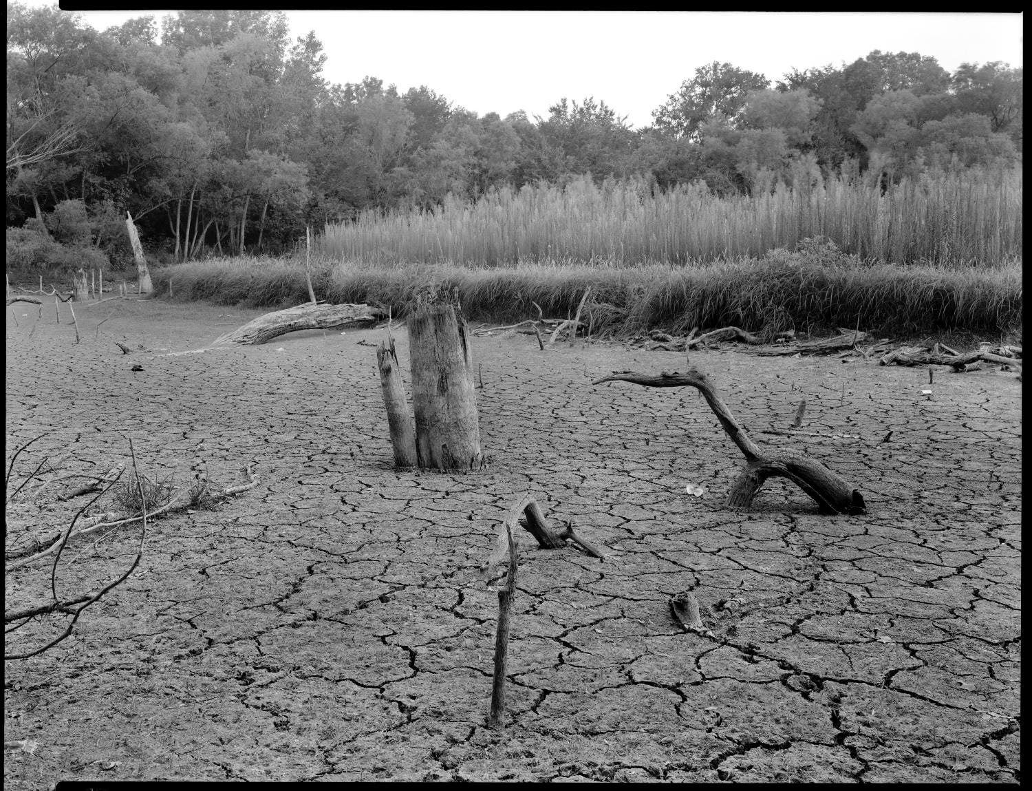 The Great Displacement: Jake Bittle - franknews