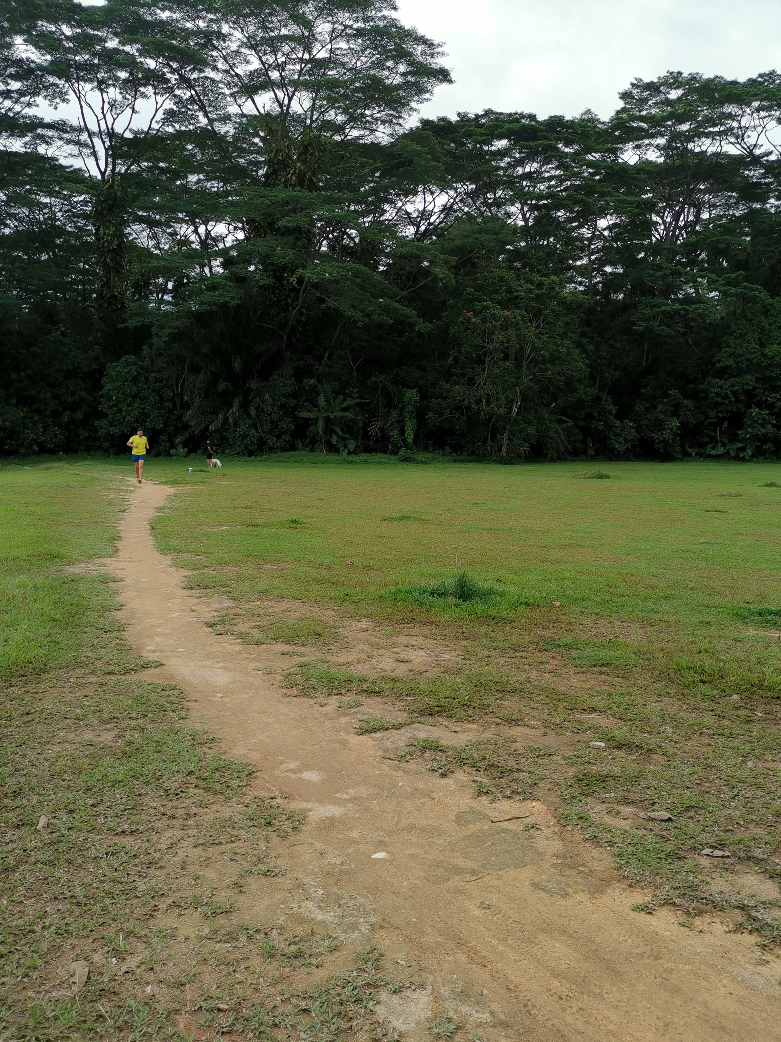 The art of not knowing - by Isaac Teo - Interiority