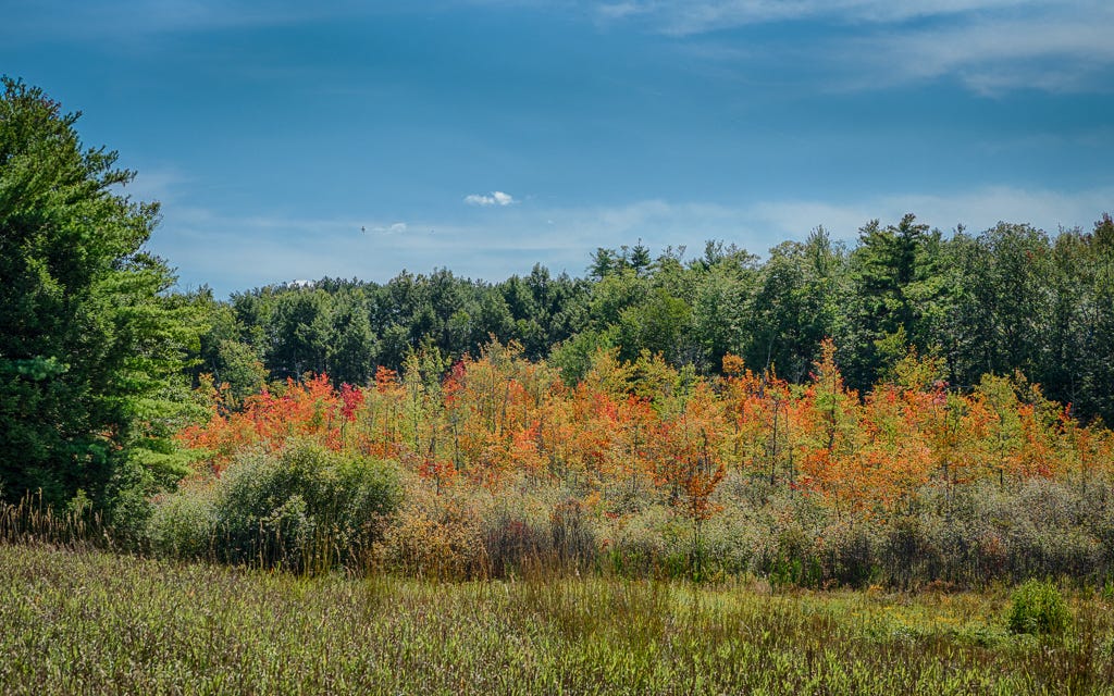 Riding with Dave, A Tour of the Silver Ranch Trails