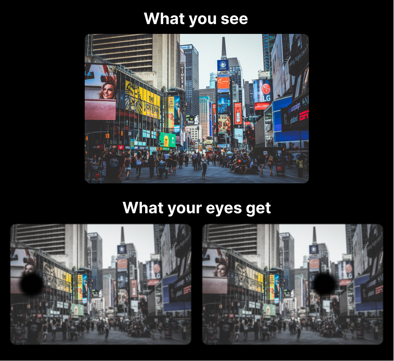 The basics of predictive processing - by Erich Lehmann