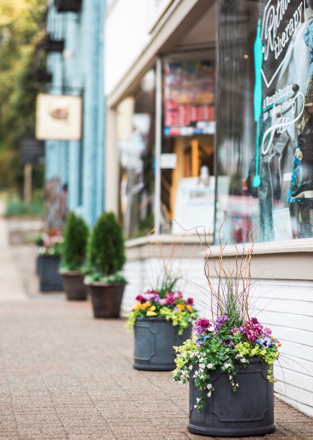 Designing Early Spring Containers - by Laura Janney