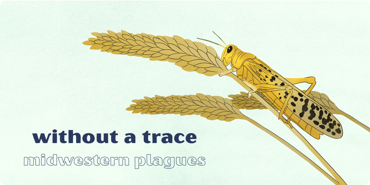 The Locust Plagues of the 1930's - by Wesley Eames