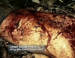 The Murder of Colleen Slemmer - by Murder Pop