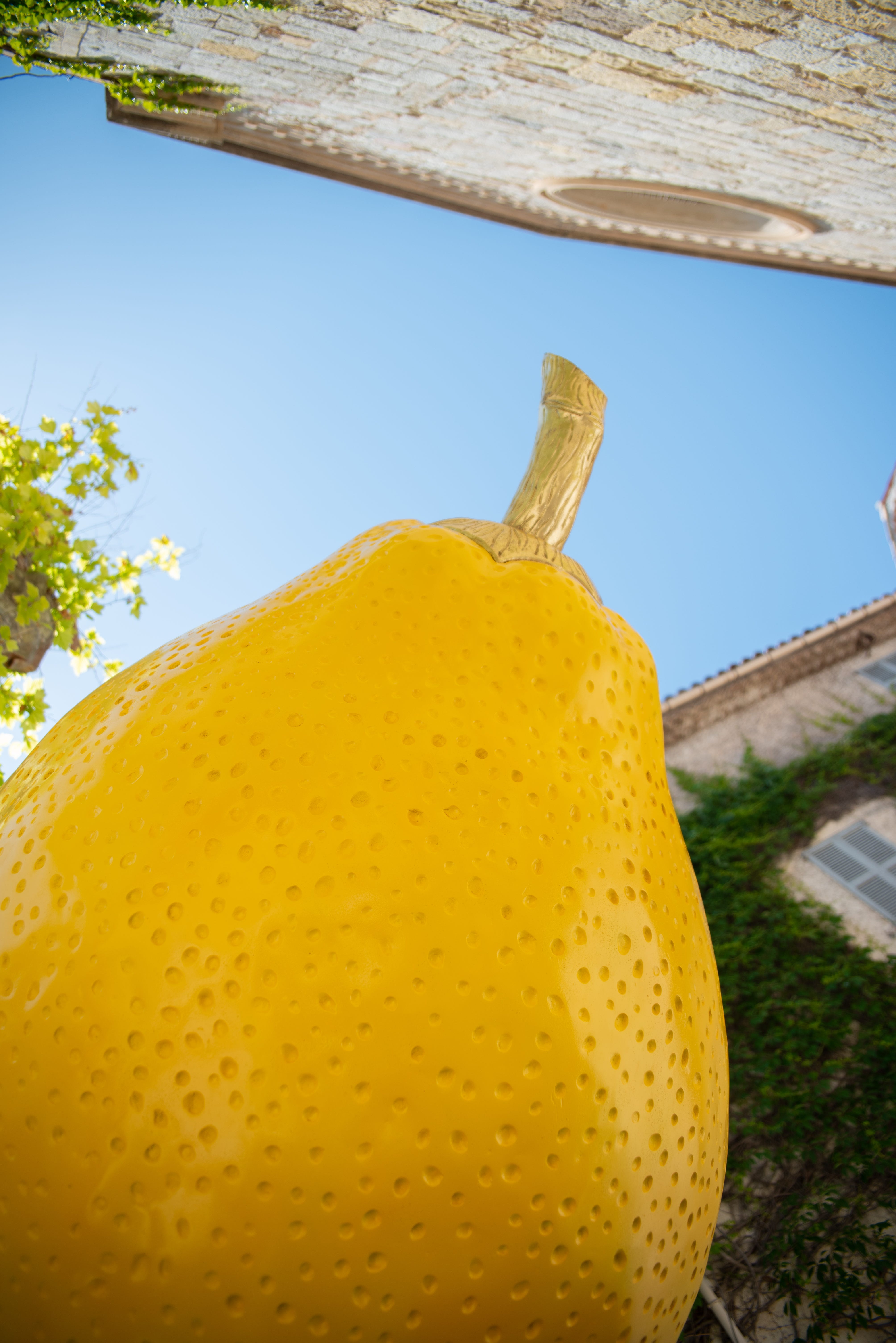 Giant lemons and oranges in Mougins - The Lemon Grove