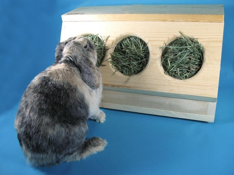 Rabbit = Good Friend - by Noah Smith - Noahpinion