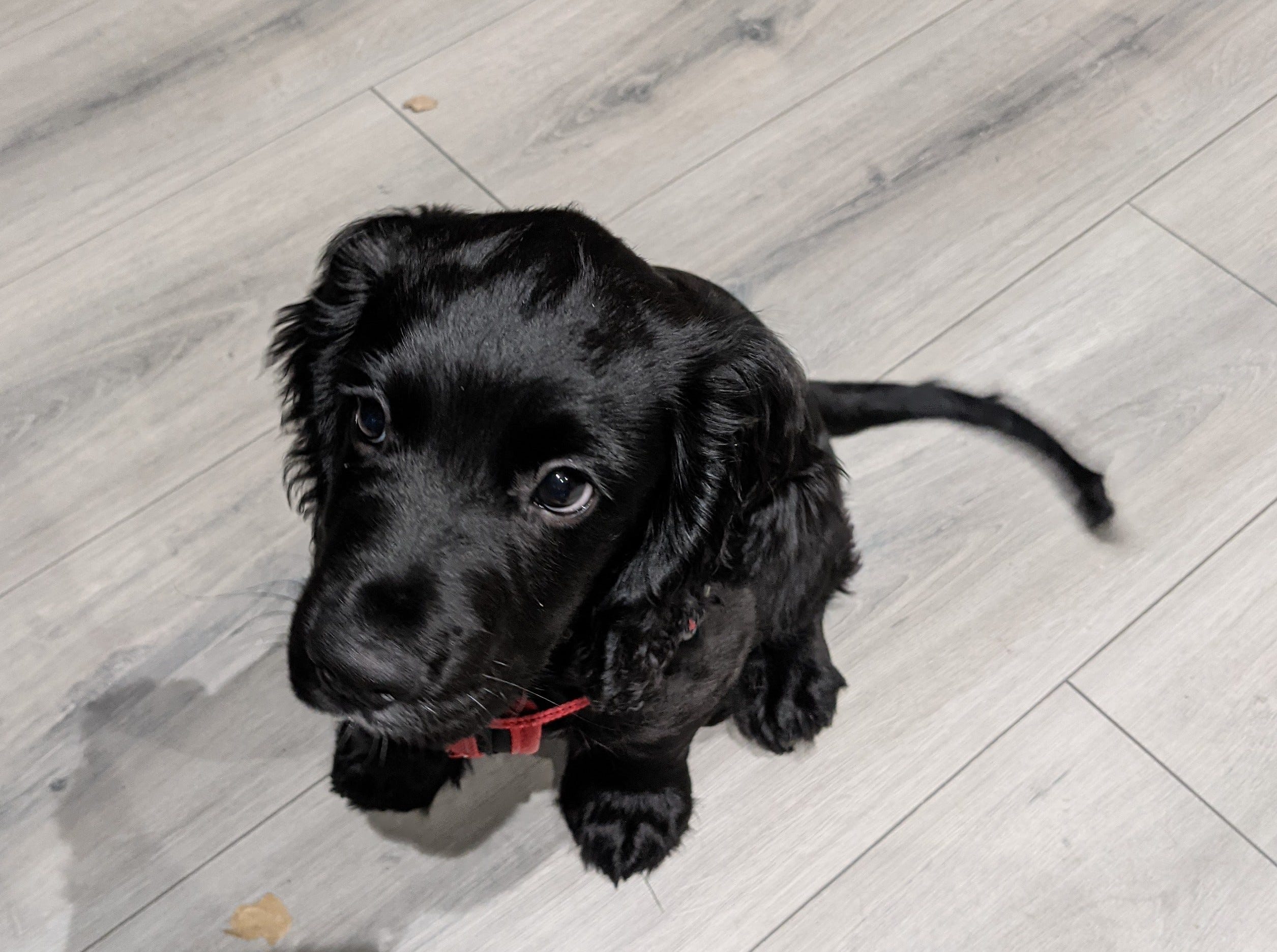 We’re back! - by Robin Brown and Nehmat Kaur