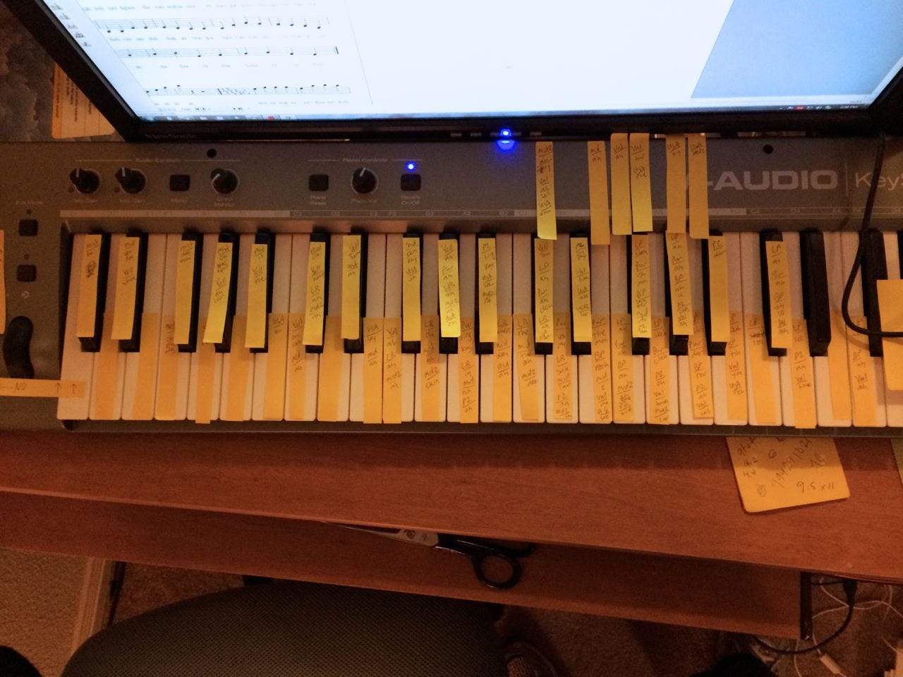 The Sing-a-ma-jig Symphony: An Interview With Erin Knight
