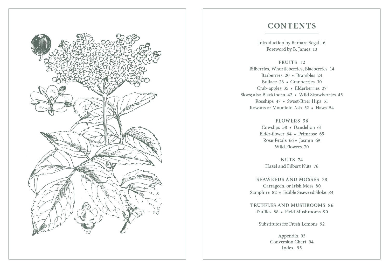 Wild Harvests - The Garden Post by Barbara Segall