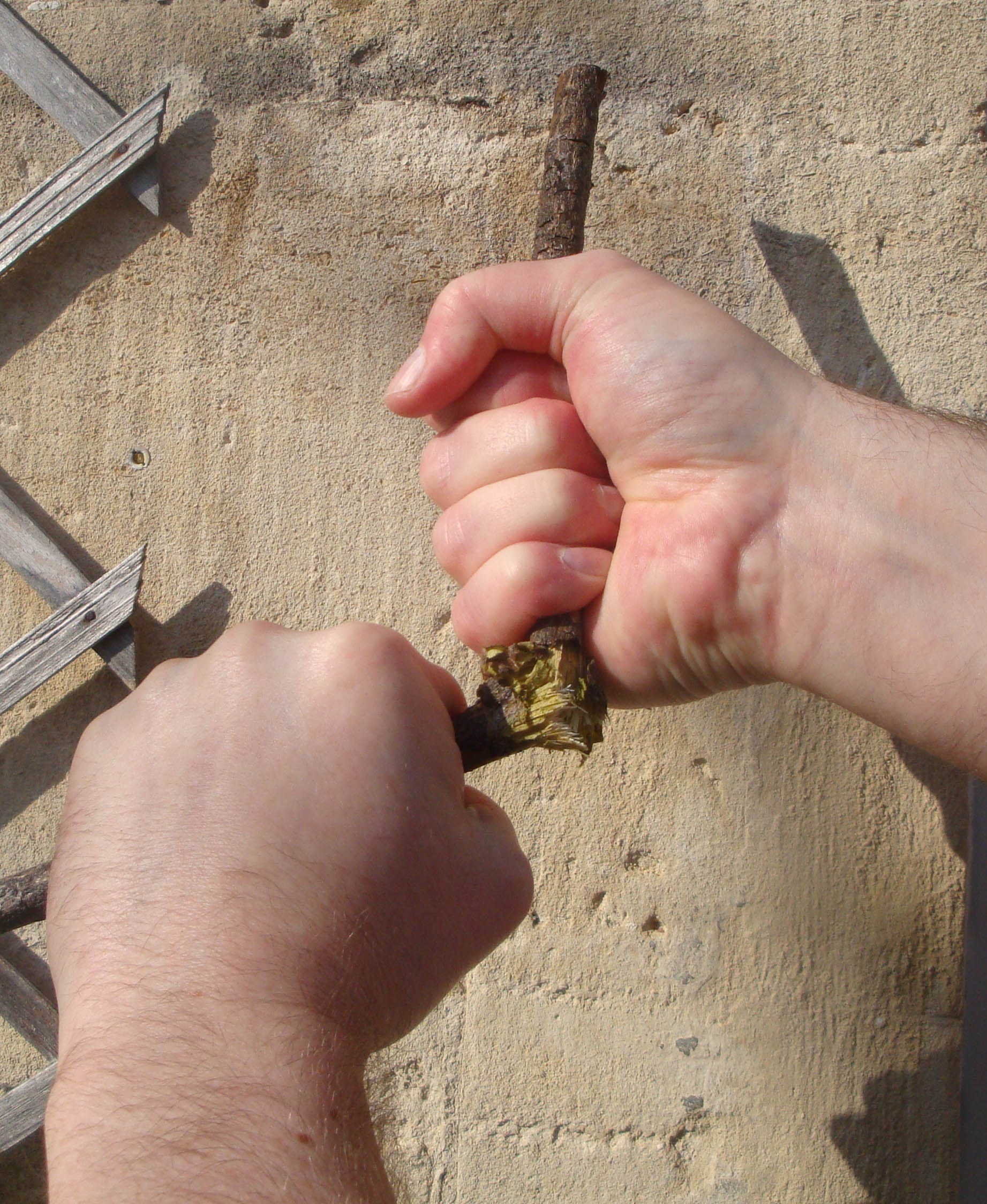 223 - Training finger attacks - by Jeth