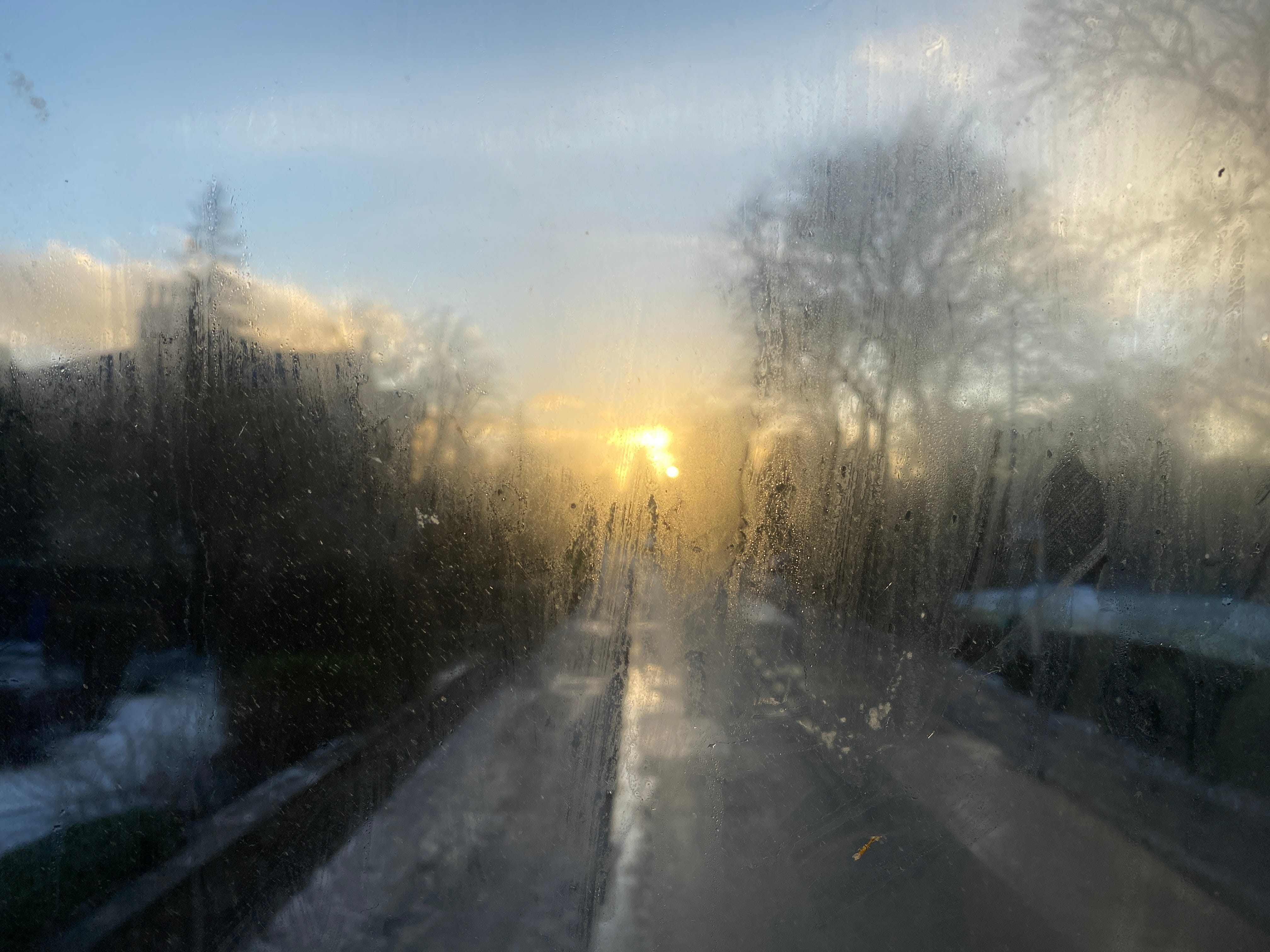 A Year of Weekly Writing - by Neil Scott - The Crop