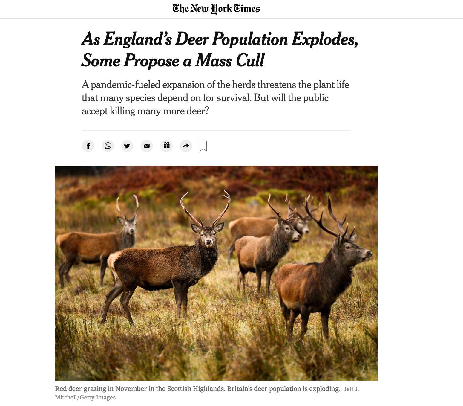 Facts Submitted to a Candid World - by Mark Halperin