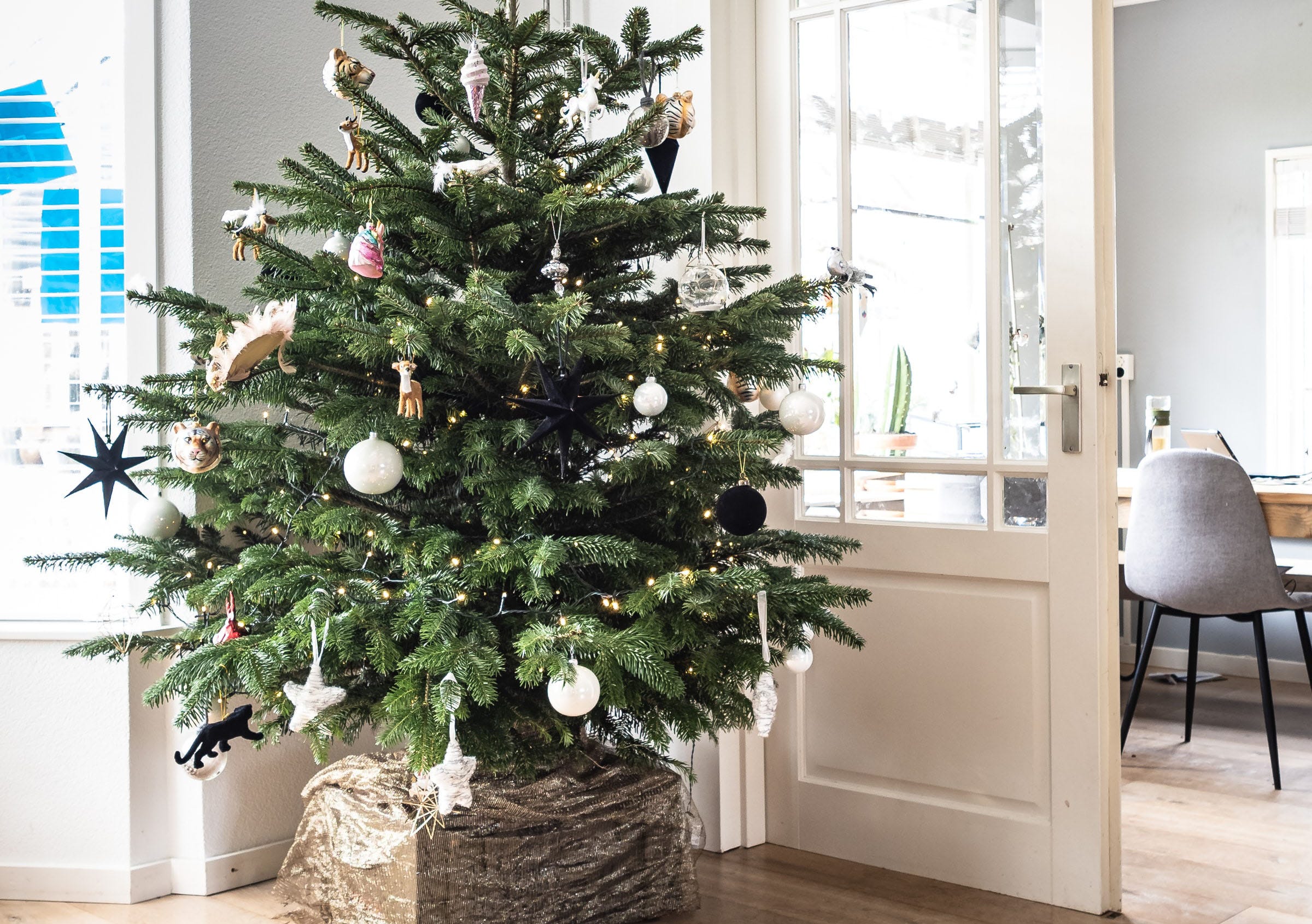The Christmas Tree Bill By Joshua Rozenberg