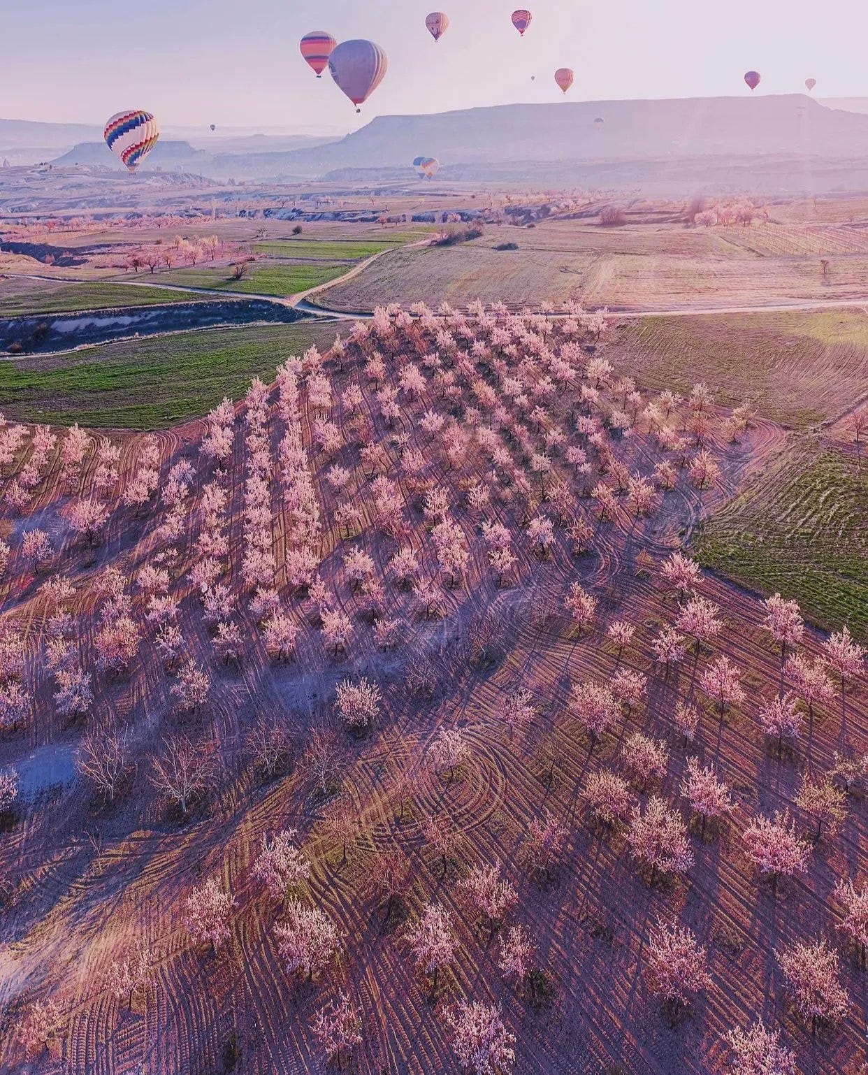 Explore your nature Part 3 . - Reverberating Decibel