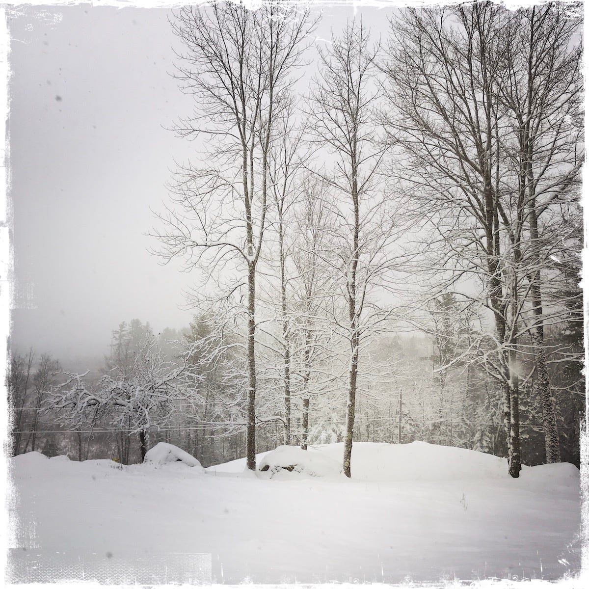 On Solitude - by Barbara Sinclair - The Quaking Poplar 🌳