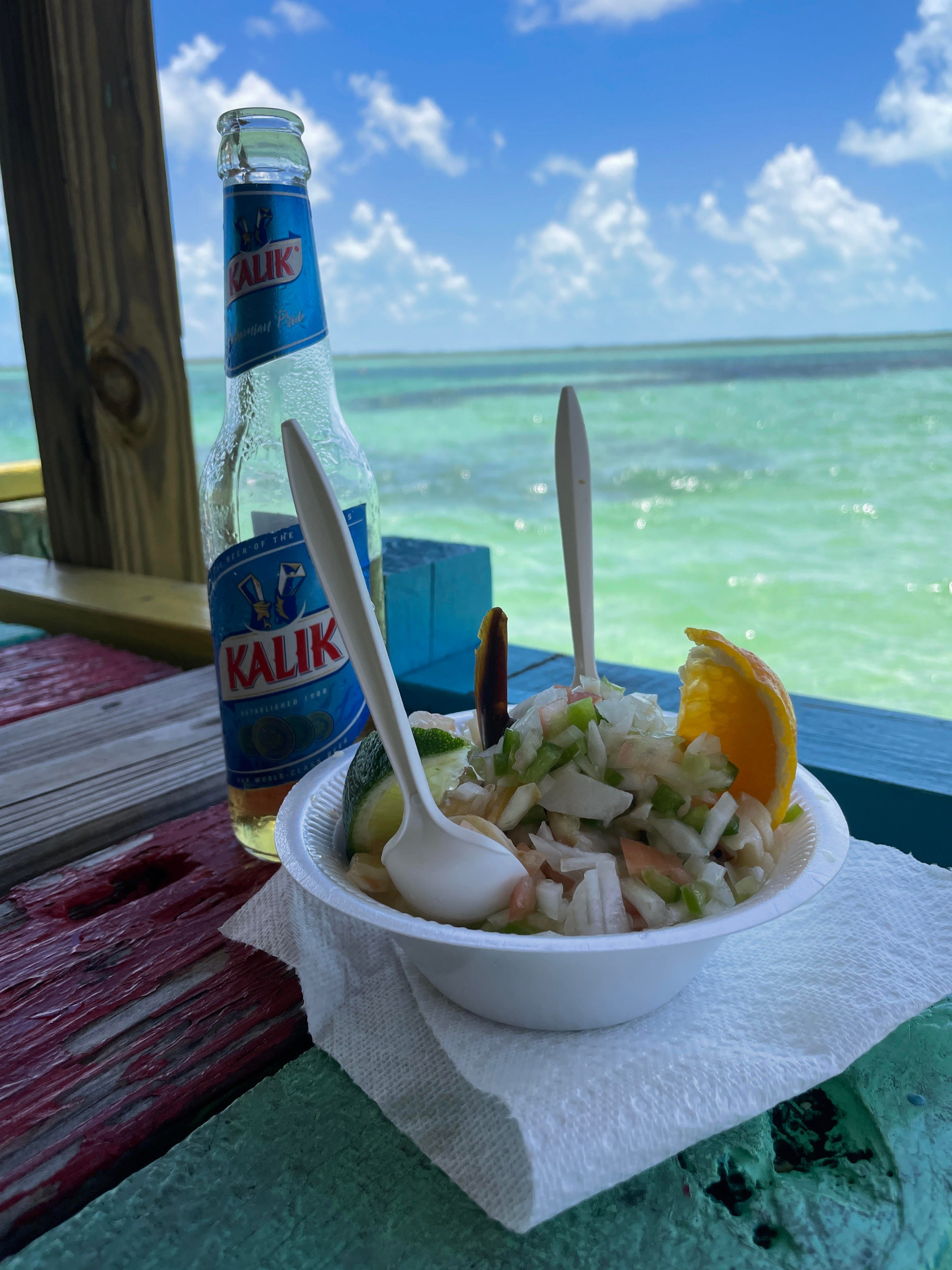 The Conch Shacks Of Bimini By Laine Doss Broken Palate