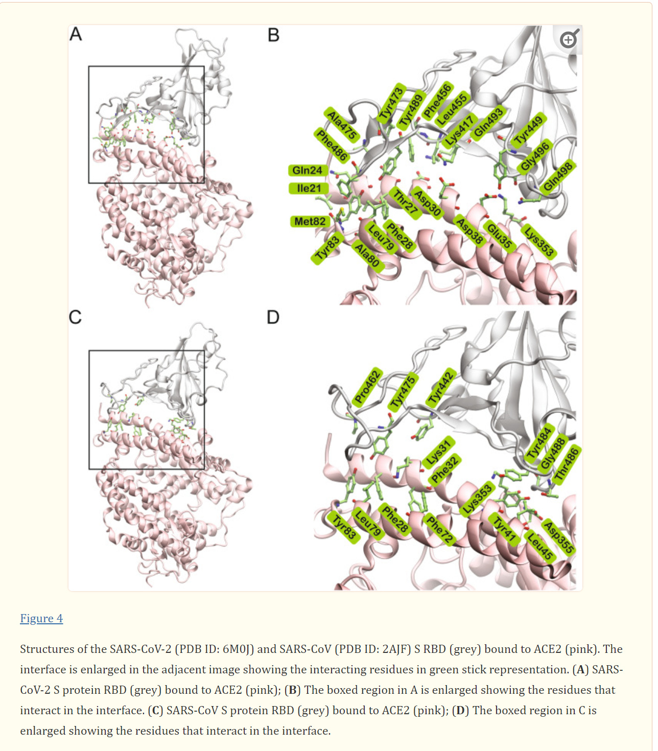 THE SYSTEMIC REMOVAL OF DEFENSES TO AGE-RELATED DISEASE: THE INDUCTION ...