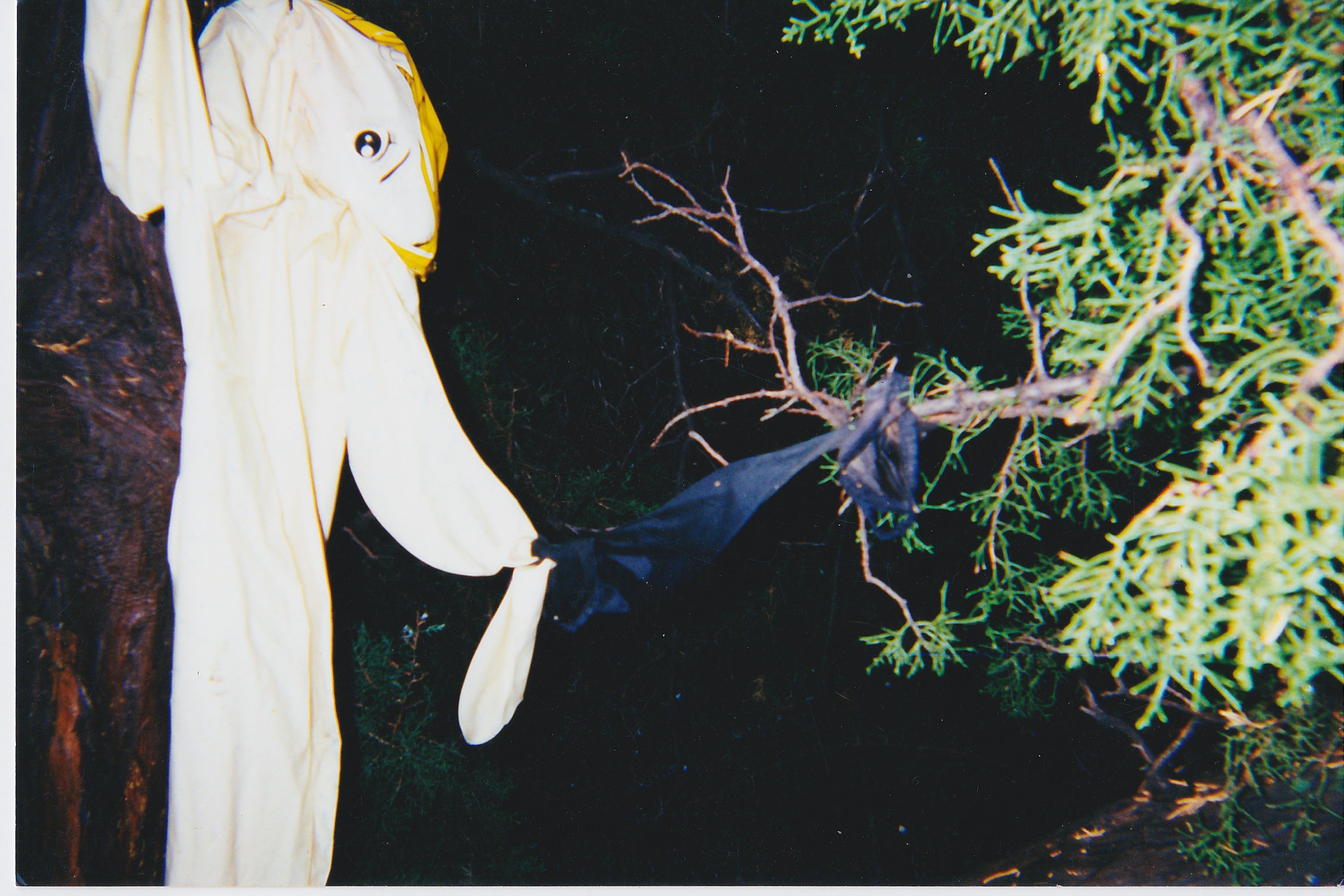 I Found Some of the Photographs - by Athena Walker