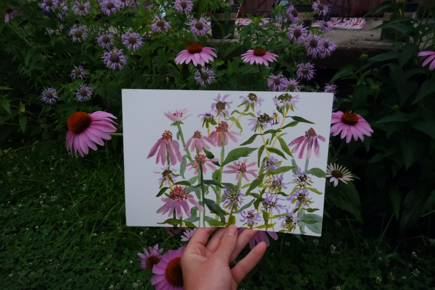 In Praise of Inconvenient Things - by Sanna King