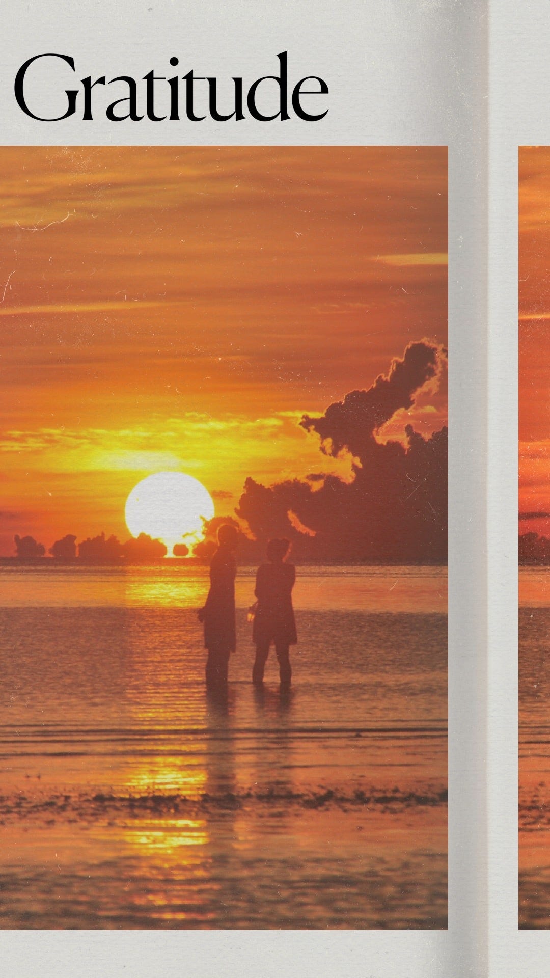 Giving Thanks. Gratitude. - by Suzanne Toro