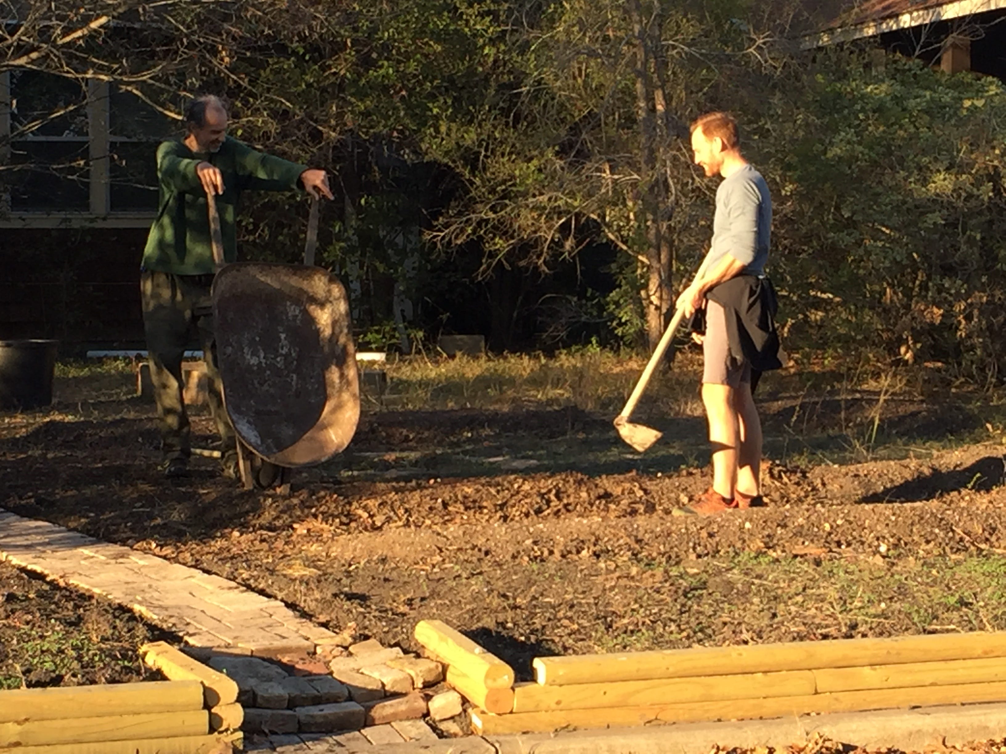 farming in the front yard - by rohn bayes - the rohn report