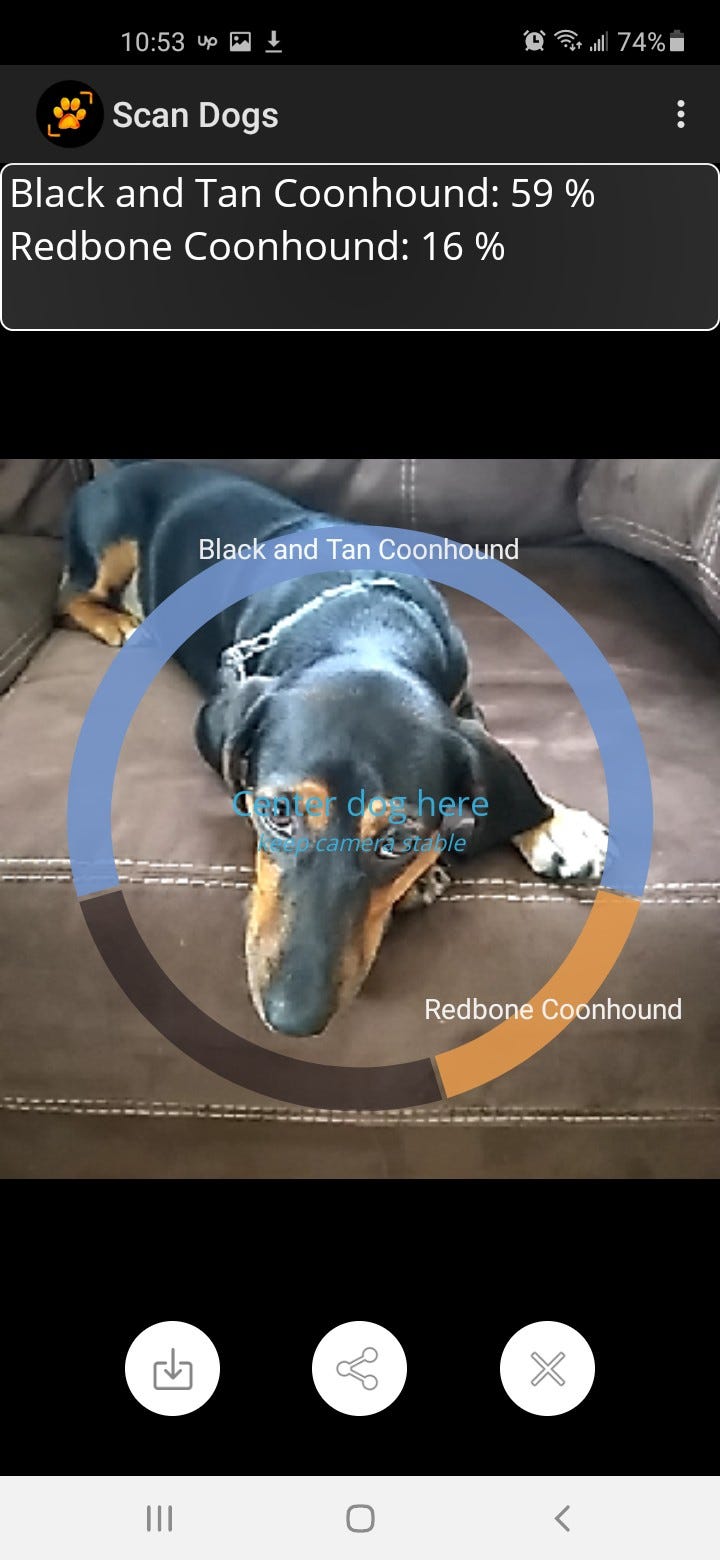 What kind of crossbreed or mutt is your dog?