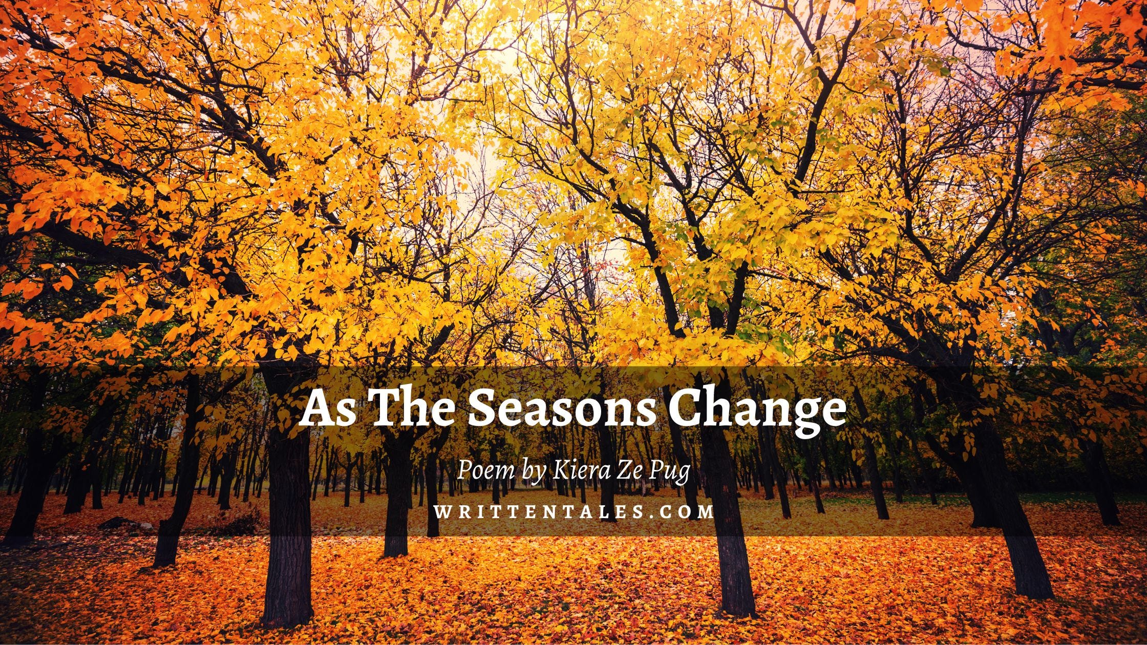 As The Seasons Change - Written Tales Magazine