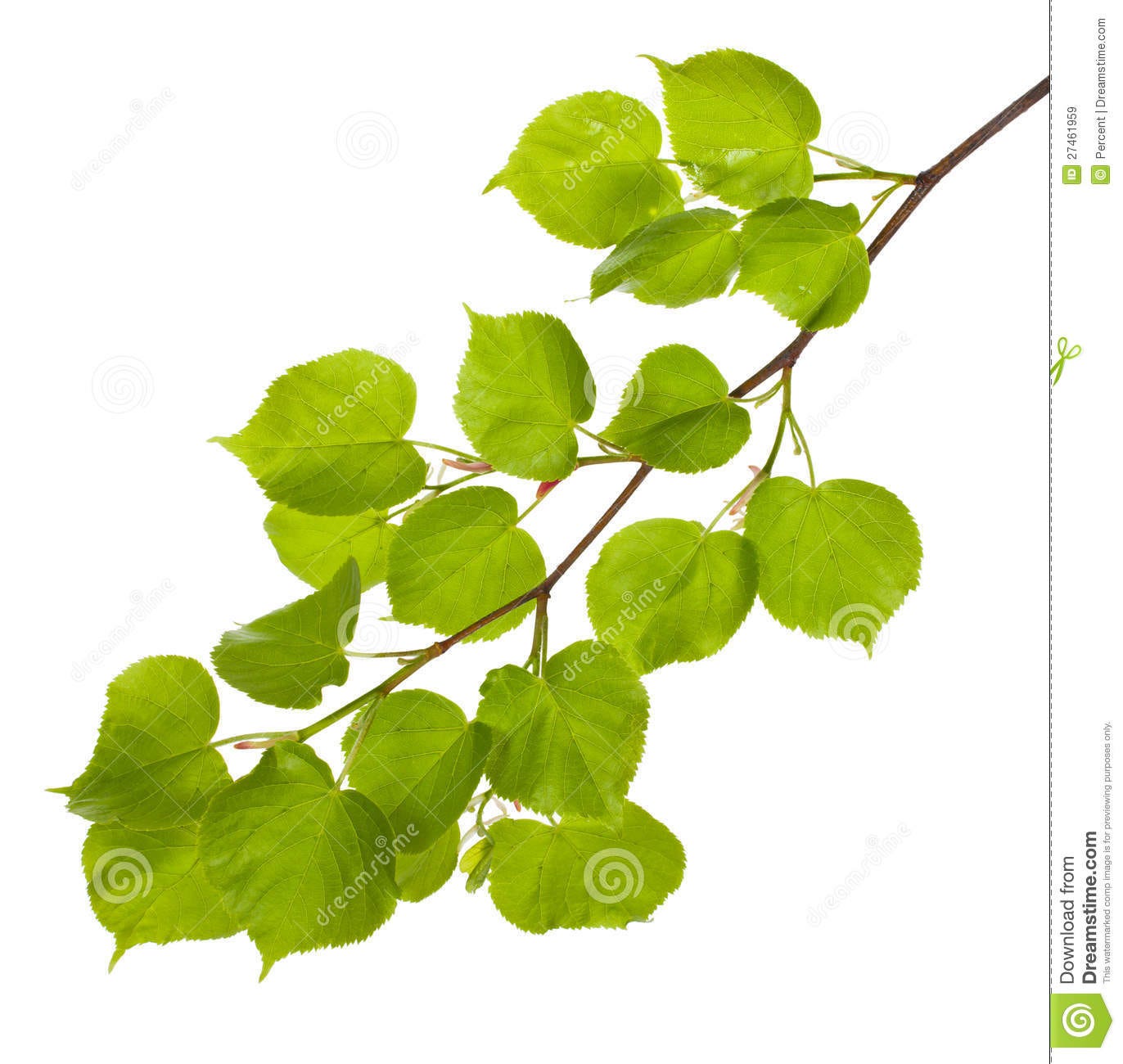 Bree Lindquist | Substack