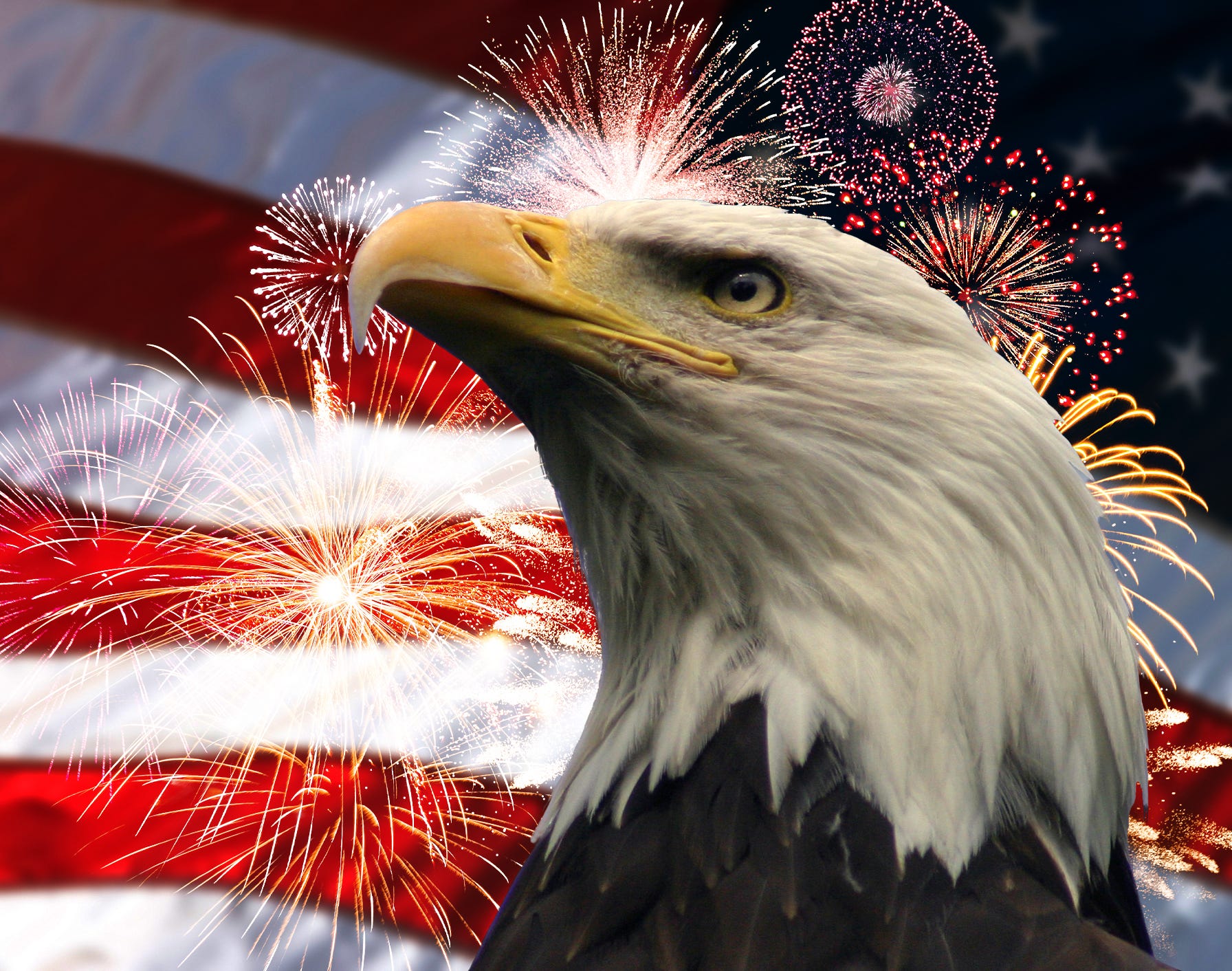 Be the Signal - by Tim Miller - The Bulwark