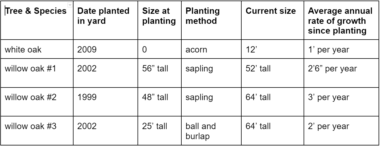 Oaks: Episode II Addendum - by Lolly Jewett