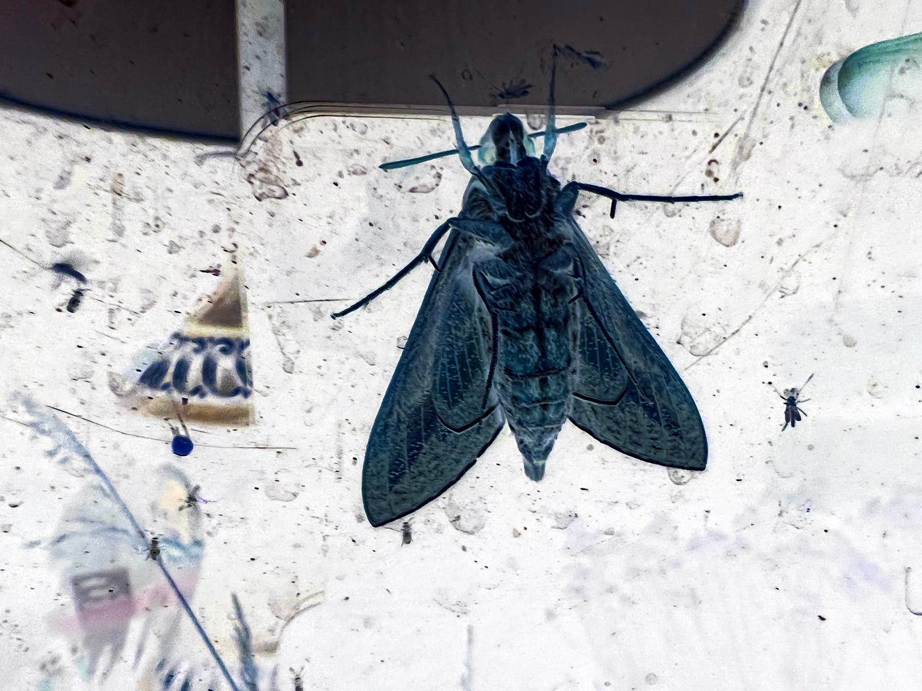 September in the Gap - by John Hamilton Farr