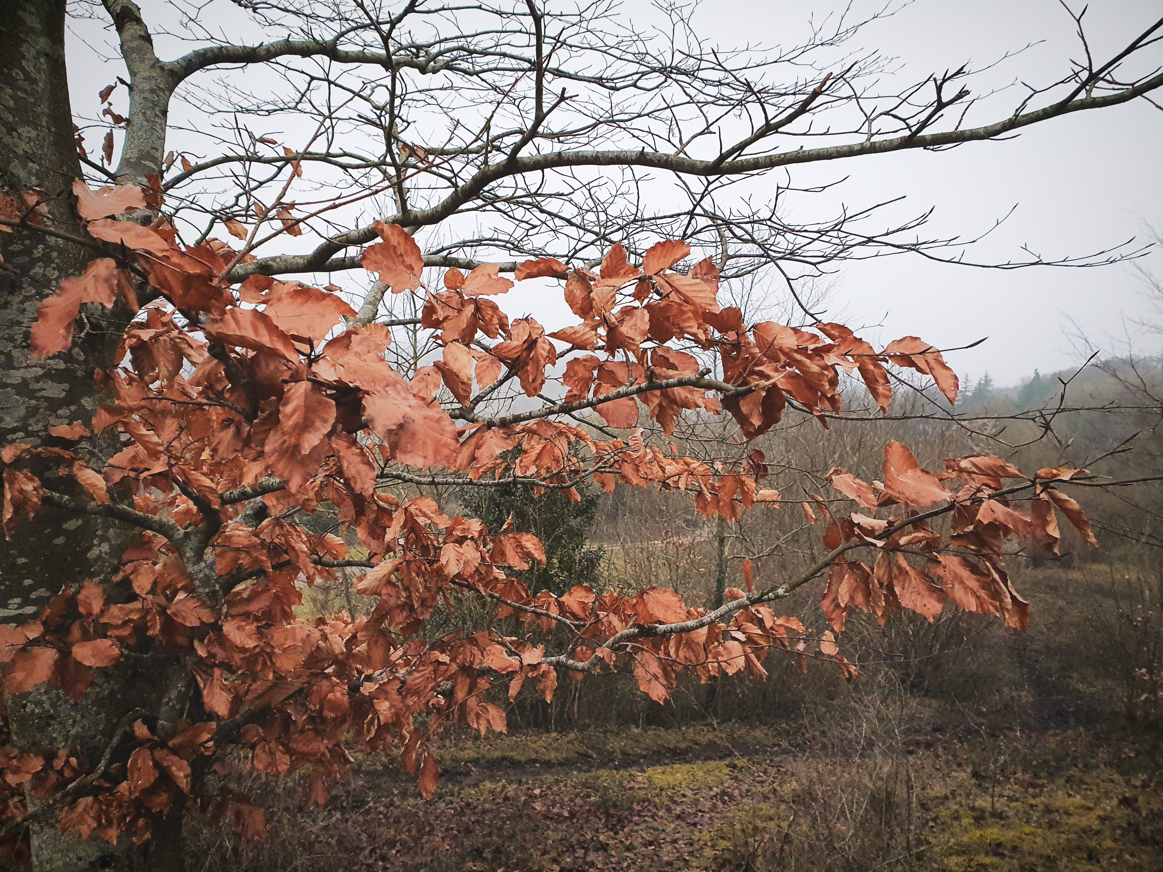 Submissions are opening soon...