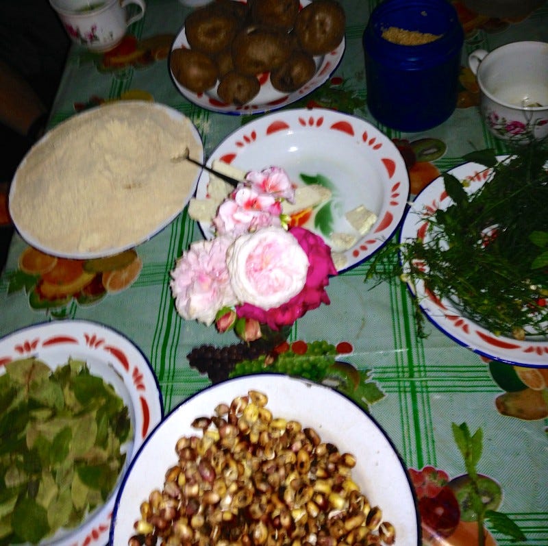 Peru: The Harp and the Guinea Pigs - by Dilan Dane