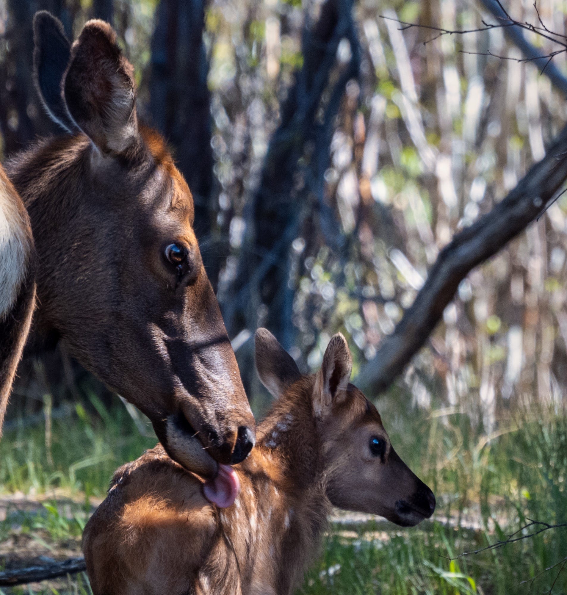 Photographer Kevin Benes - by Jason VanTatenhove