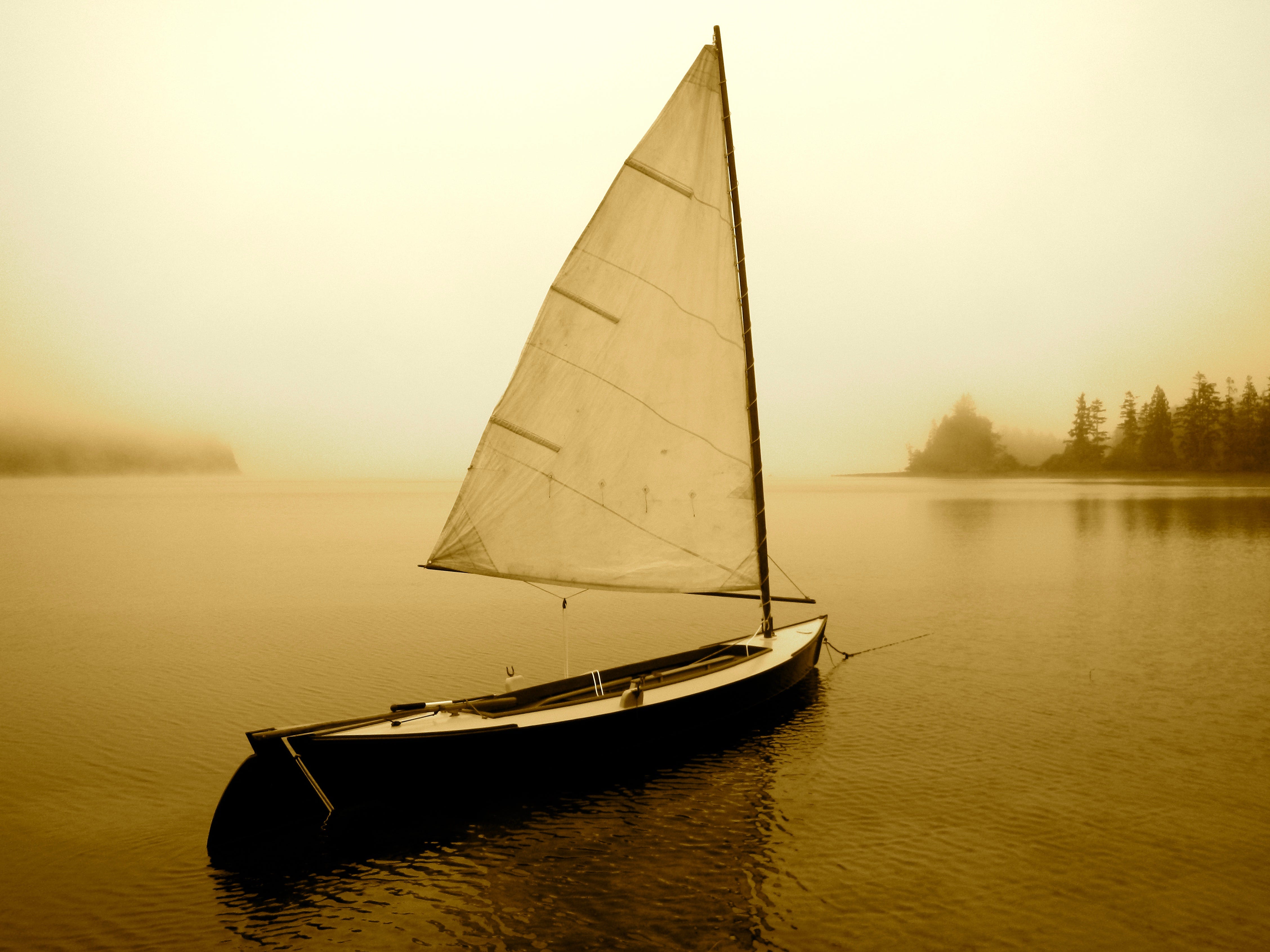 How to Save Your Old Mast - by Marty Loken