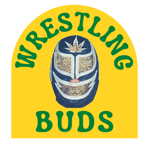 Wrestling Buds Issue #0: The AEW Post-Scrum Brawl is a Work