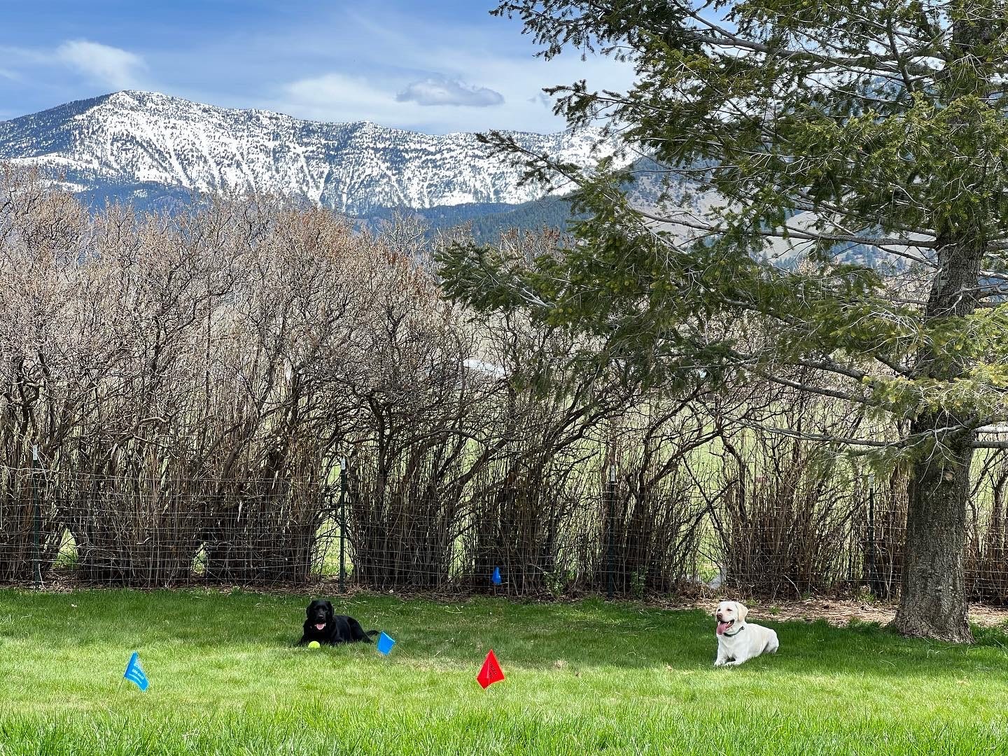 Danielle Morrill – I can see the future, because I live in it today.