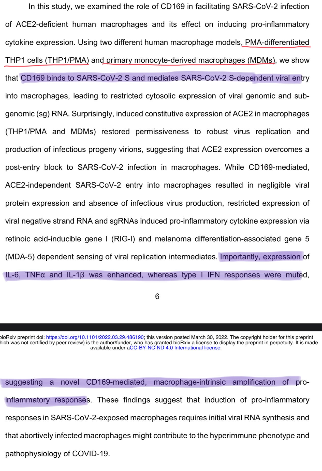 SARS-CoV-2, macrophages, and CD169 (another use of a new) receptor