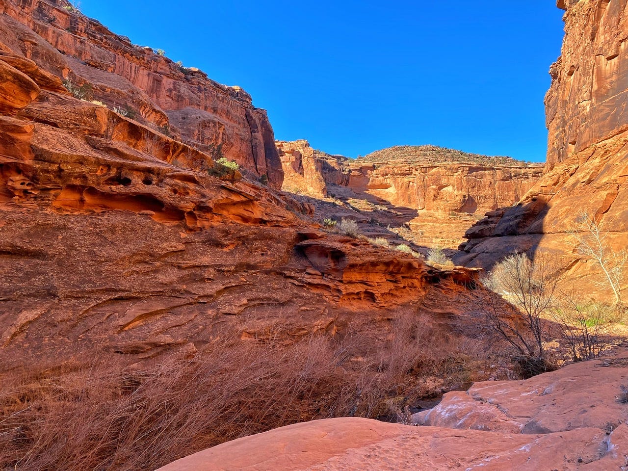 Postcards from the Road: A Hike in Hunter Canyon