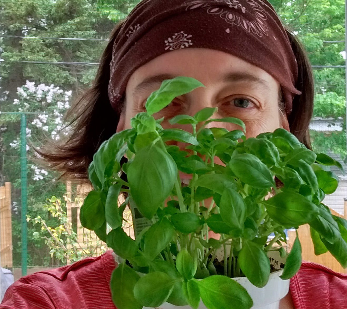 Stephanie Gilbert | Substack