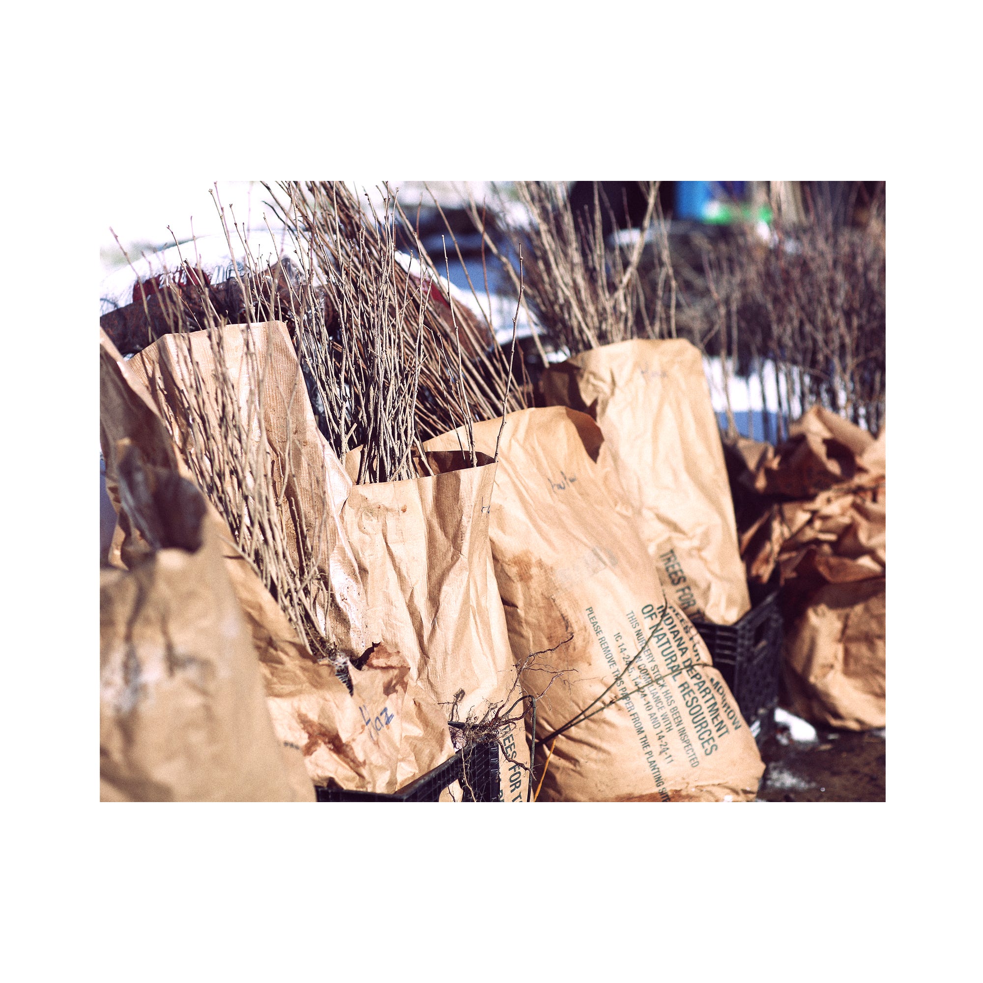 Rooted in Community - Inhabit: Territories