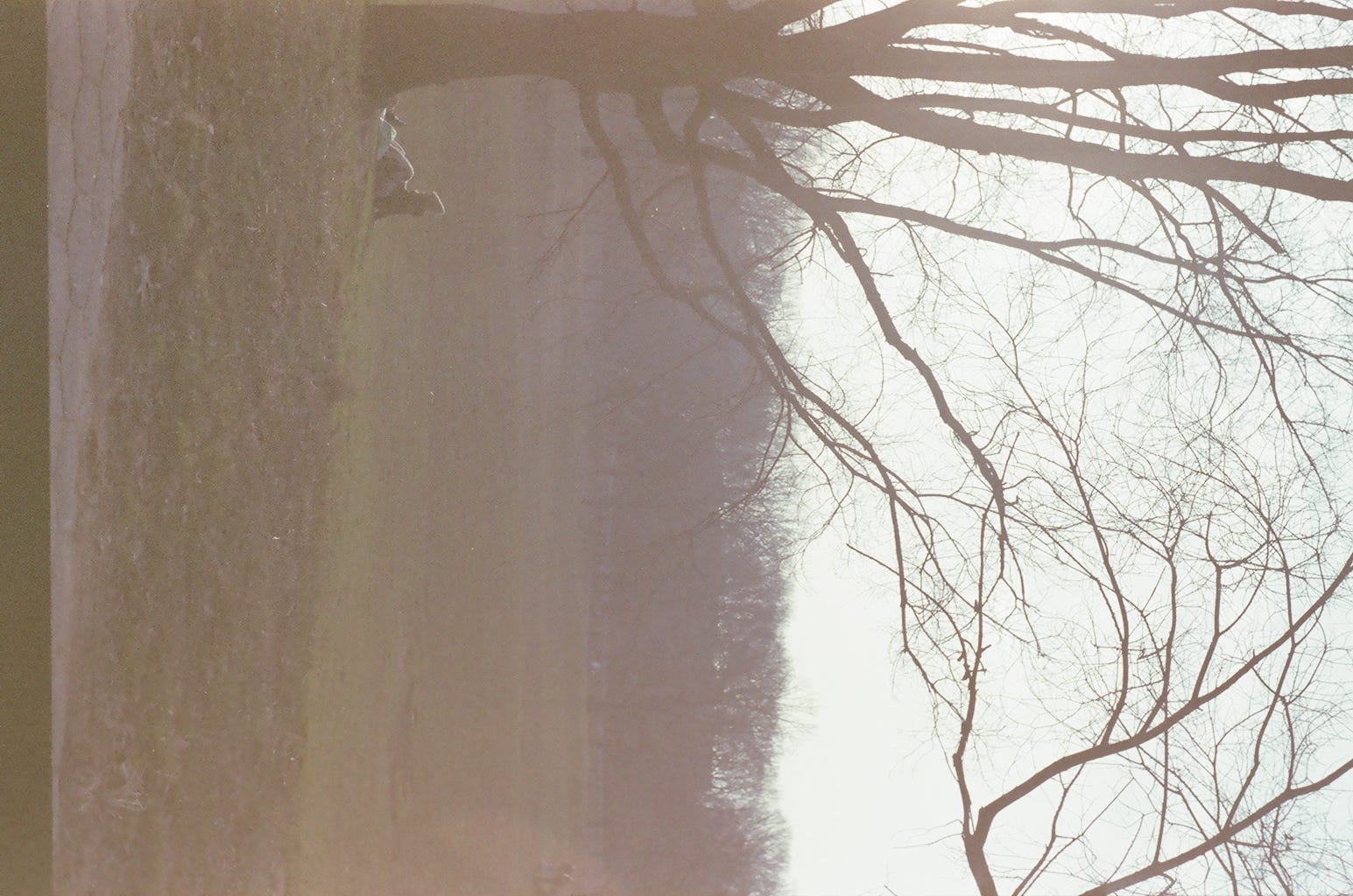 hazy memories, film futura - by sonia desai rayka