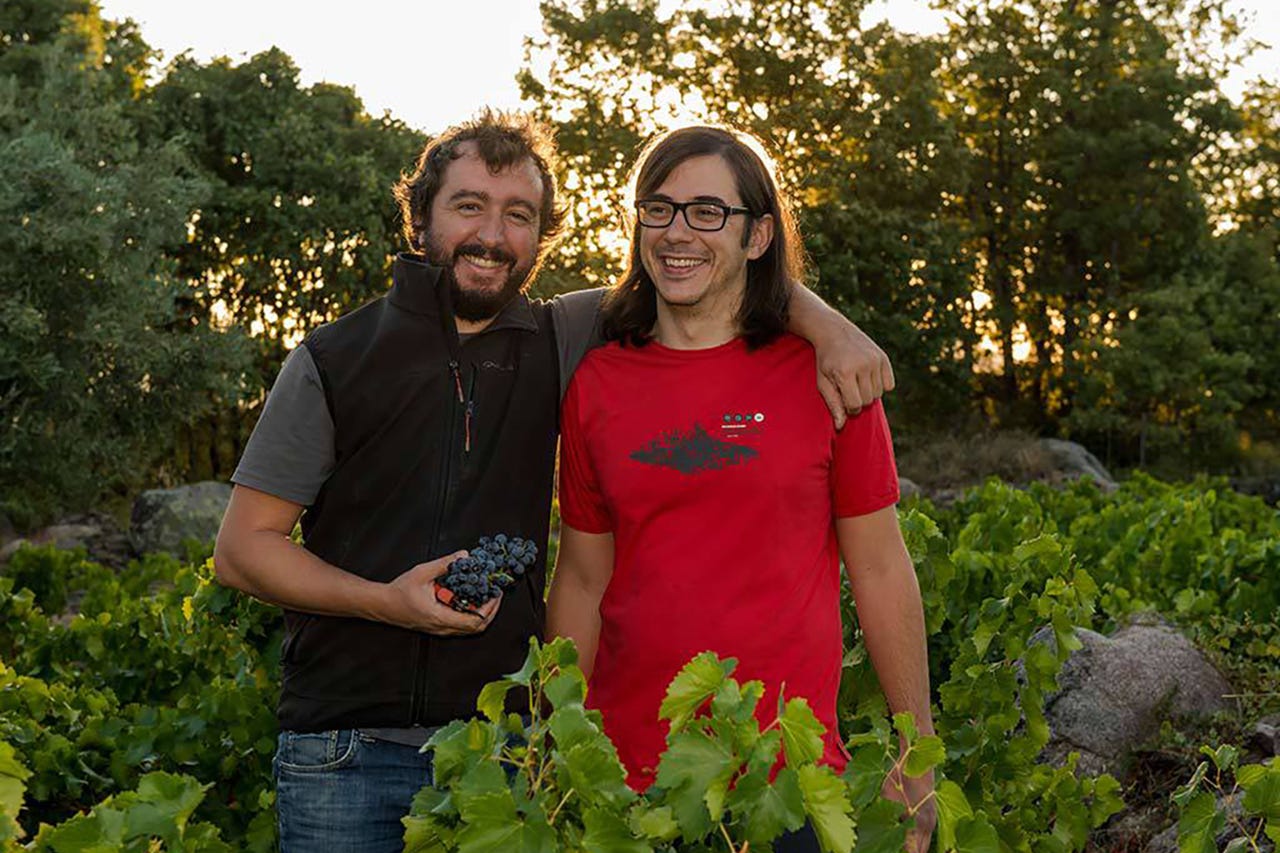 The Rock Stars of Spanish Wine - by Erica Duecy