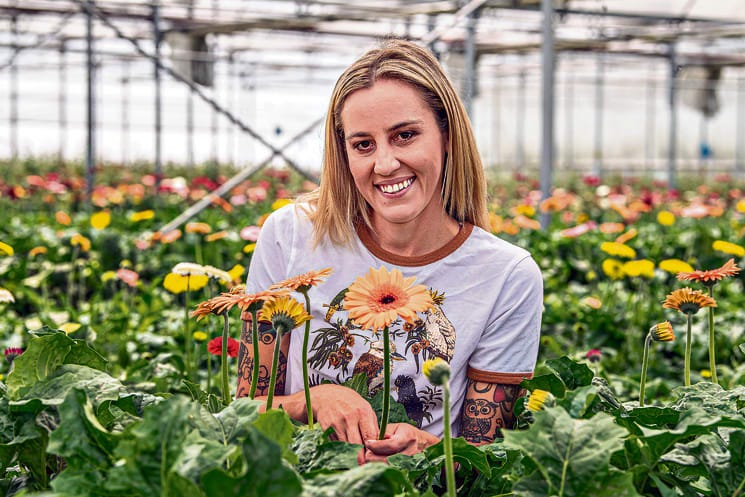 Flower Collector in Agriculture Sector - News in the Netherlands